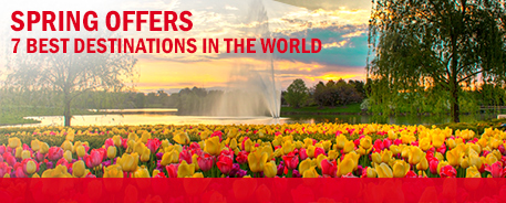 Hotel Reservations, book with HotelsClick.com - Cheap to Luxury Hotels